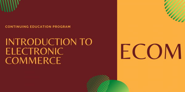 Introduction to Electronic Commerce – Faculty of Management and ...