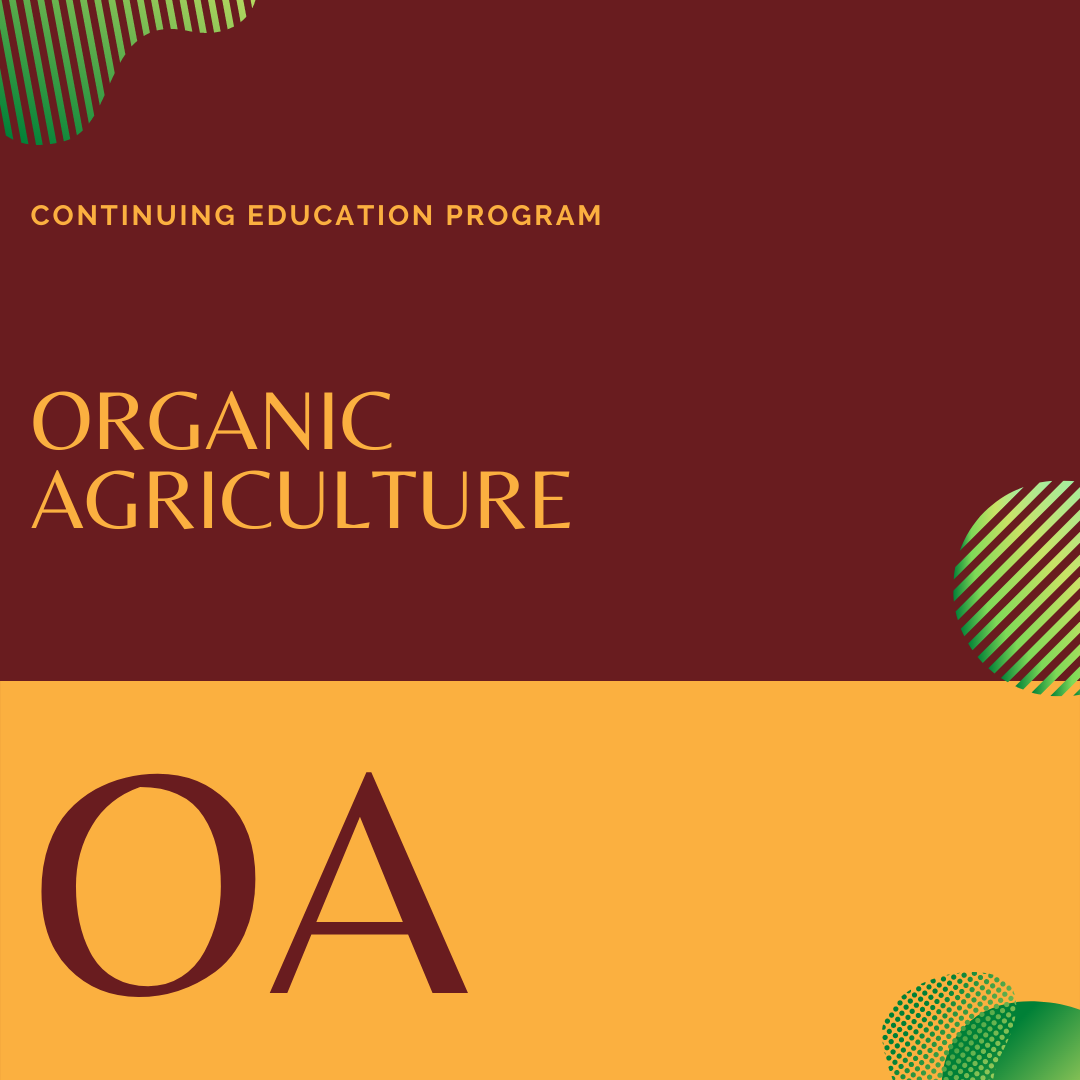 Environmental Cluster – Faculty of Management and Development Studies