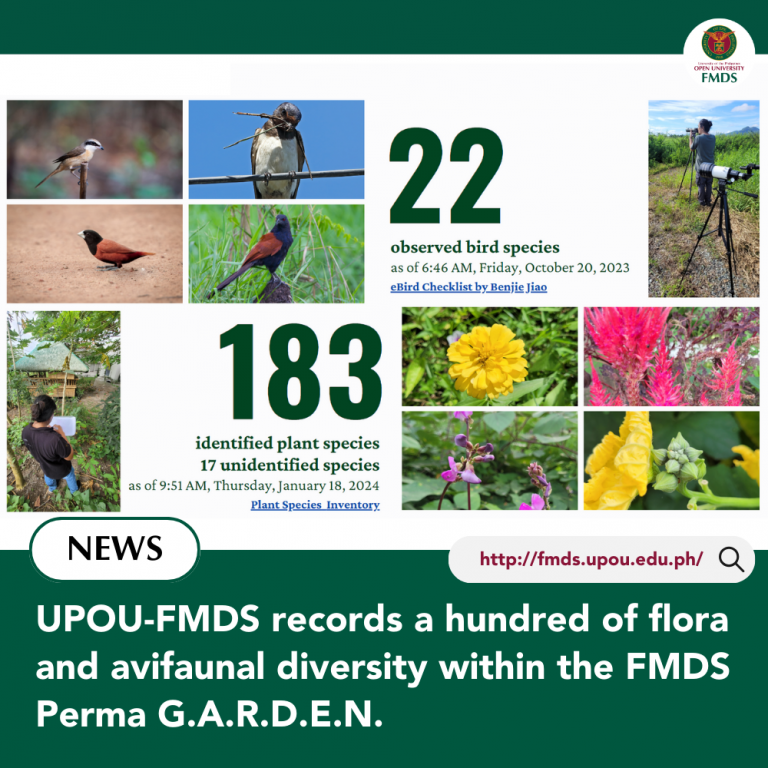 Doctor in Sustainability – Faculty of Management and Development Studies